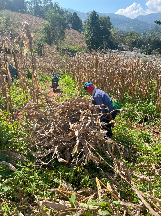 Accend projects: Enable Earth